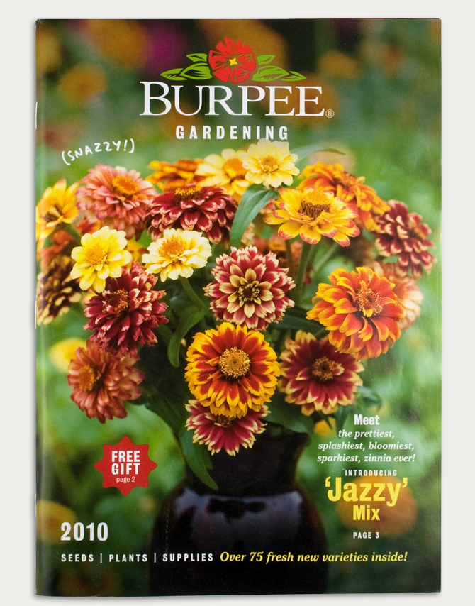 Burpees Seeds And Plants